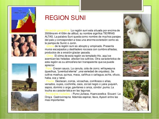 Las 8 regiones naturales del Perú