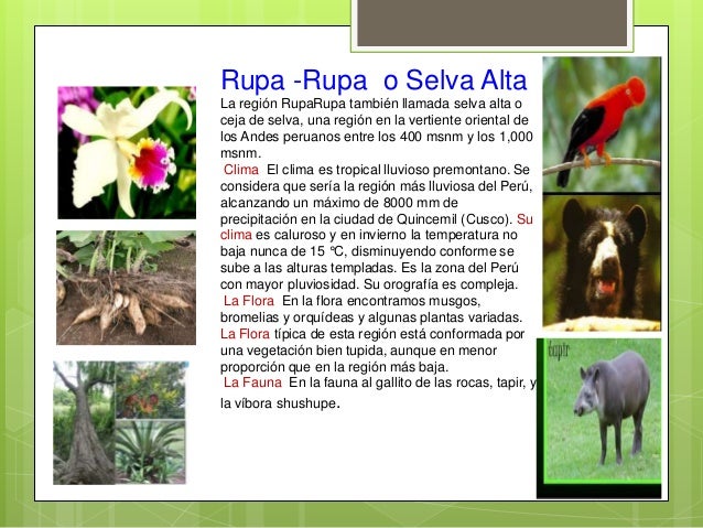 Las 8 regiones naturales del Perú