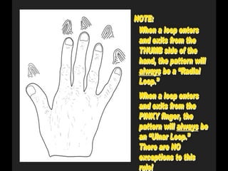 Chapter 6 - Personal Identification .... | PPTX