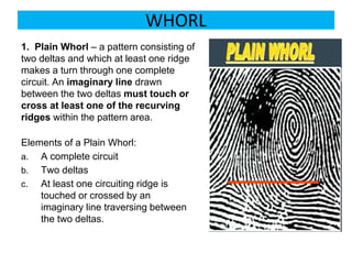 Chapter 6 - Personal Identification .... | PPT
