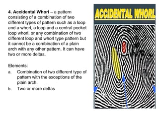 Chapter 6 - Personal Identification .... | PPT