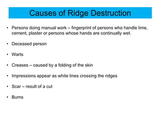 Chapter 6 - Personal Identification .... | PPT
