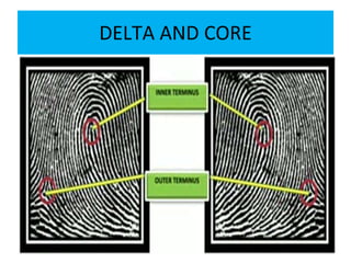 Chapter 6 - Personal Identification .... | PPT