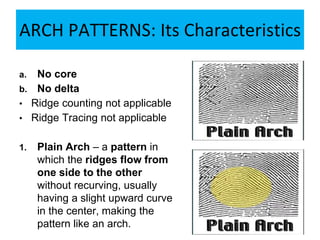 Chapter 6 - Personal Identification .... | PPT