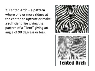 Chapter 6 - Personal Identification .... | PPT