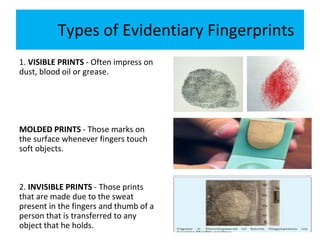 PERSONAL-IDENTIFICATION.CHAPTER-7.pptx.. | PPTX