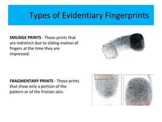 PERSONAL-IDENTIFICATION.CHAPTER-7.pptx.. | PPTX