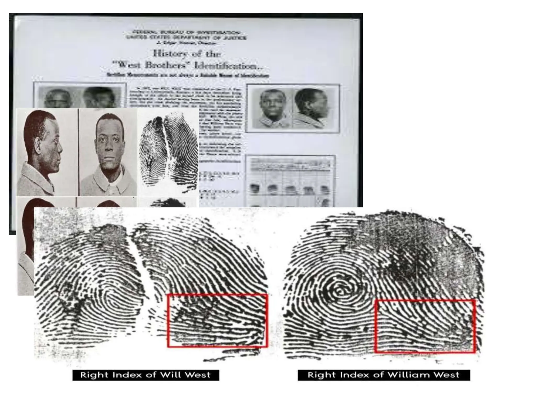 PERSONAL-IDENTIFICATION-CHAPTER-1-1.pptx