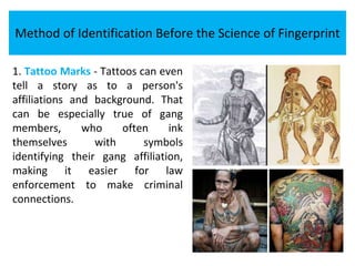 PERSONAL-IDENTIFICATION-CHAPTER-1-1.pptx | Genealogy and Ancestry ...