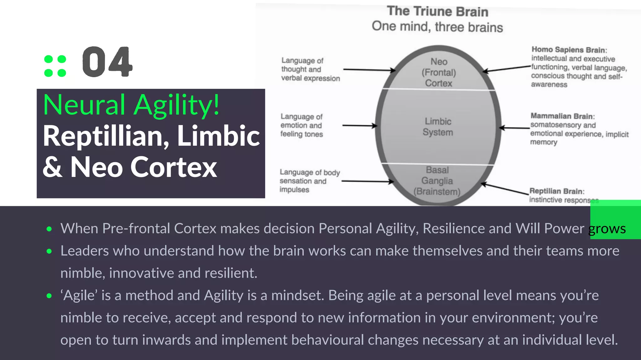 Personal agility | PDF
