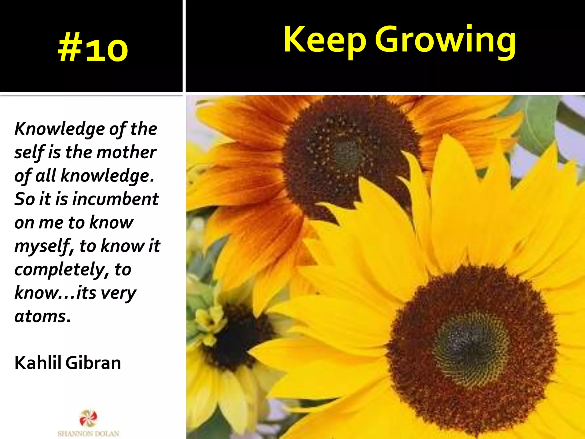 Personal and professional leadership behaviours 10 tips for success ...