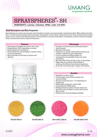 Personal care division 2019 (1) | PDF