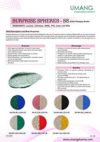 Personal care division 2019 (1) | PDF