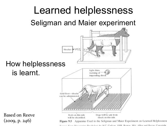 Mindsets, control, and the self
