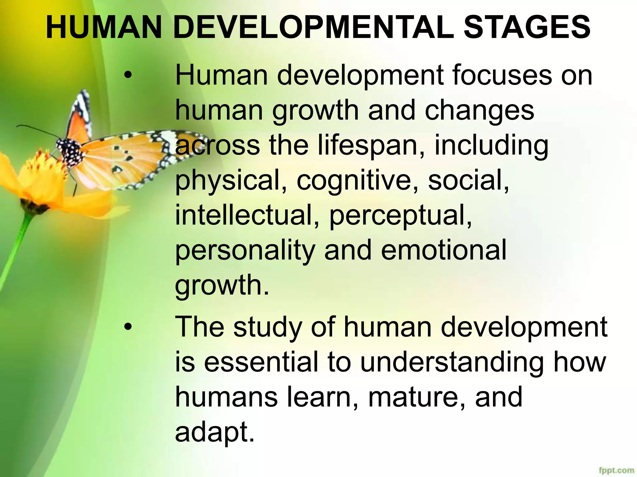 Personal development: human developmental stages | PPTX