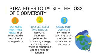 Stop The Loss of Bio-Diversity | PPT
