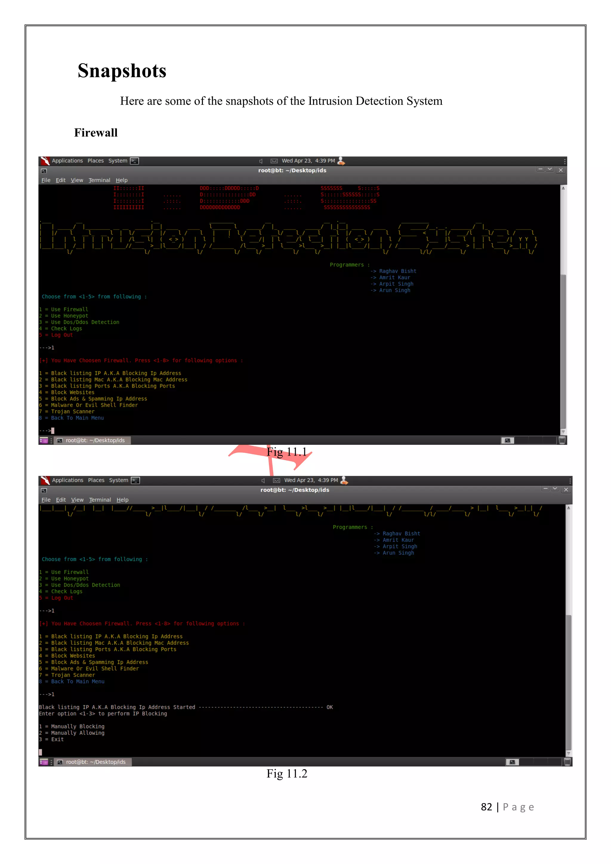 Intrusion Detection System Project Report | PDF