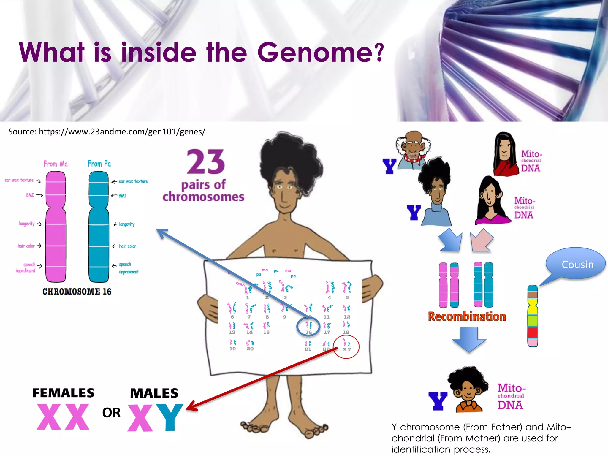Personal Genomics: Business Model for 23andMe | PDF