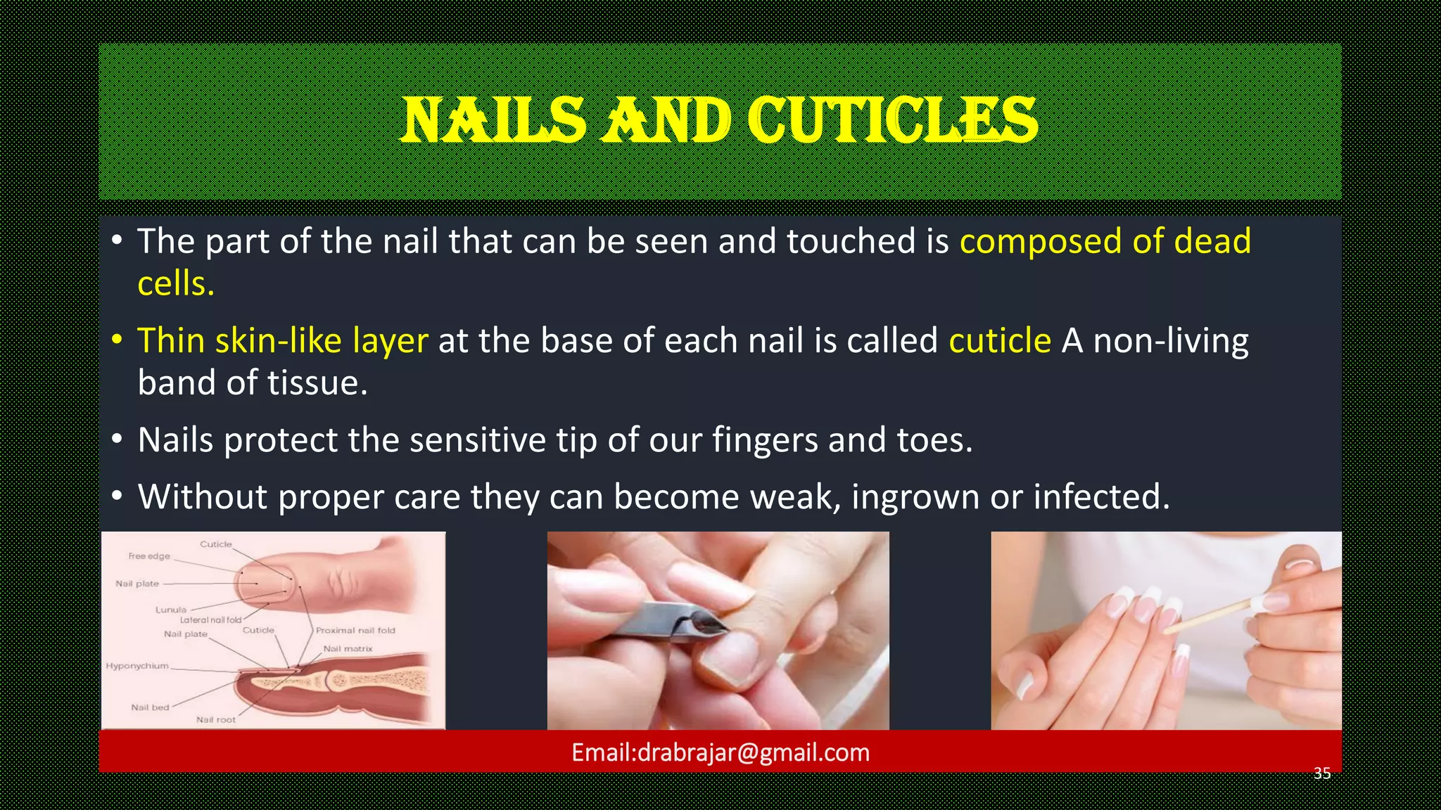 Personal Hygiene Lecture | PDF