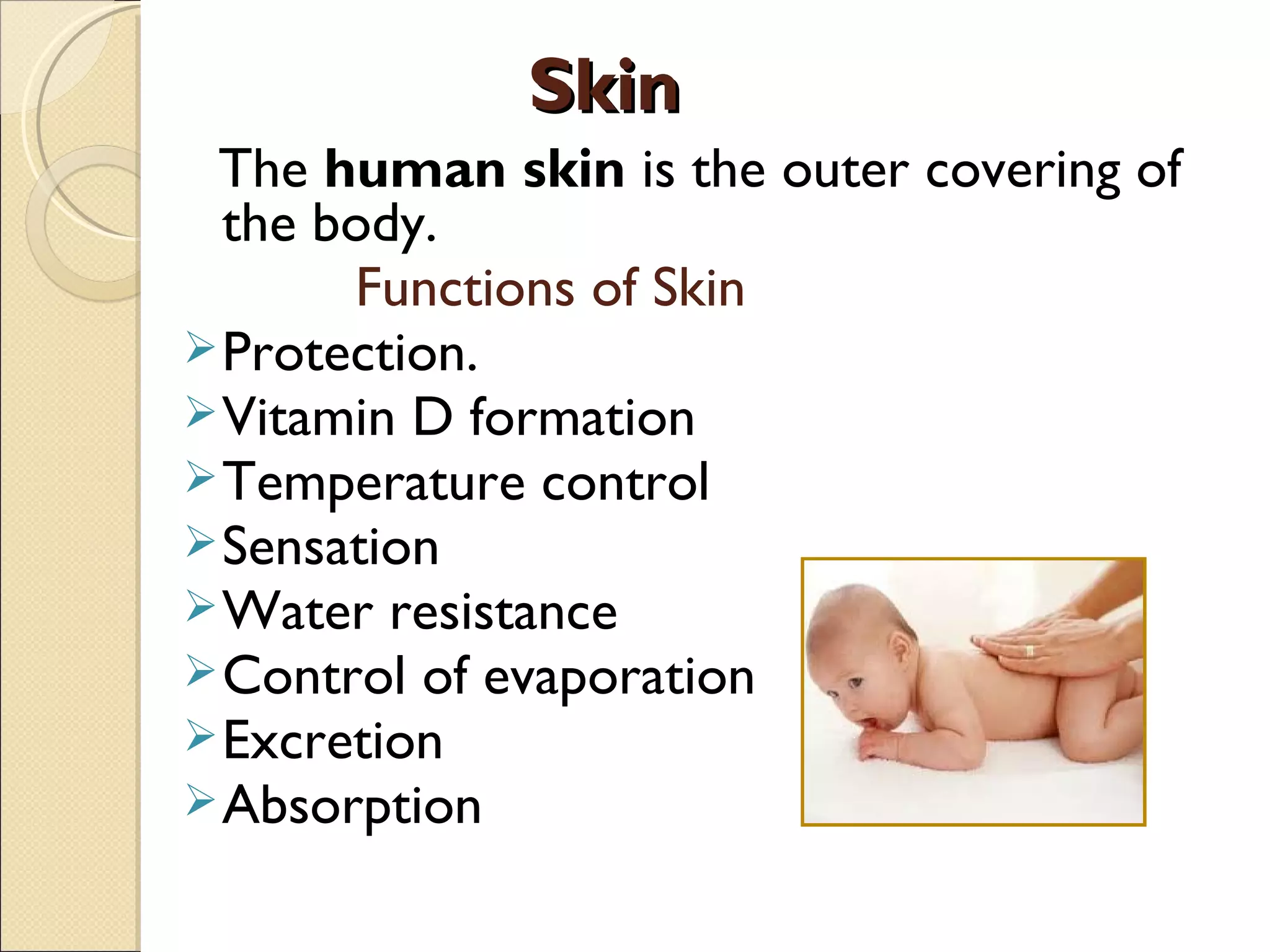 Personal hygiene | PPT