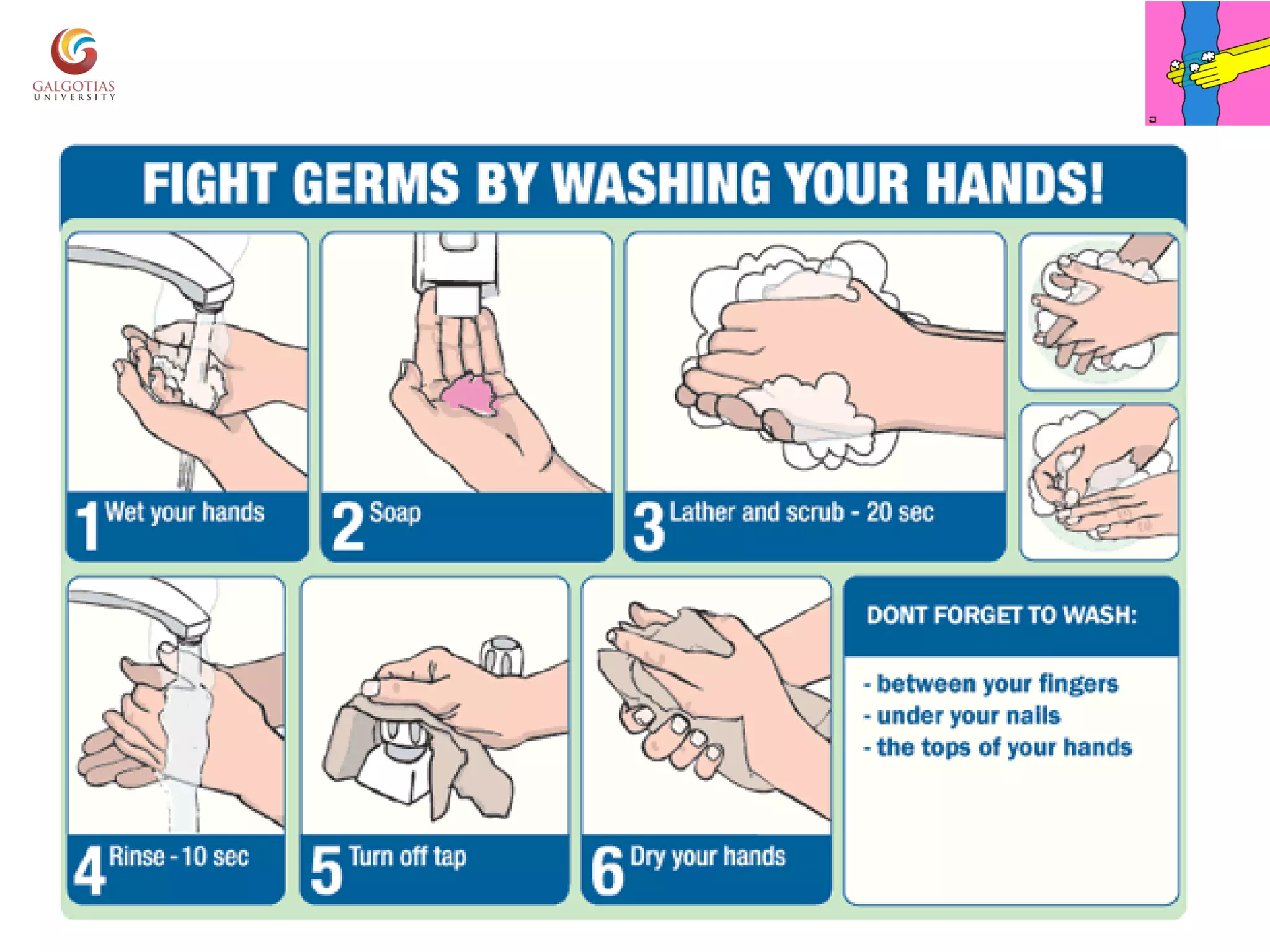 Personal hygiene and hand washing procedure | PDF