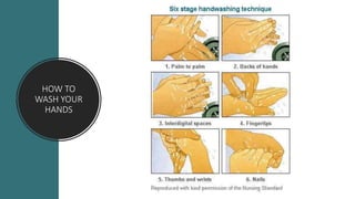 Personal hygiene & grooming | PPTX