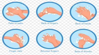 PERSONAL HYGIENE HABITS and the steps to be followed pptx | PPTX