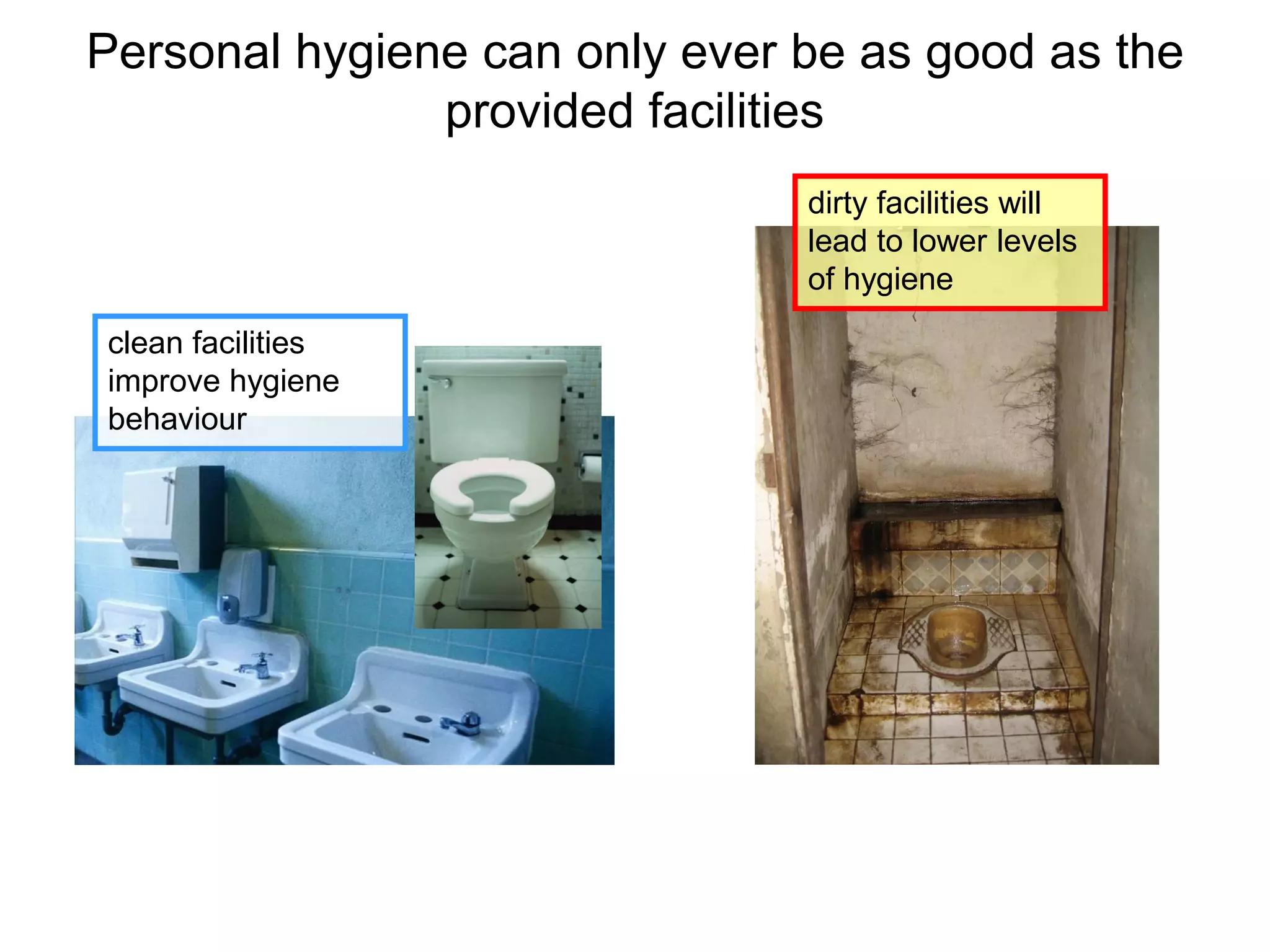 Personal Hygiene in Food Production | PDF