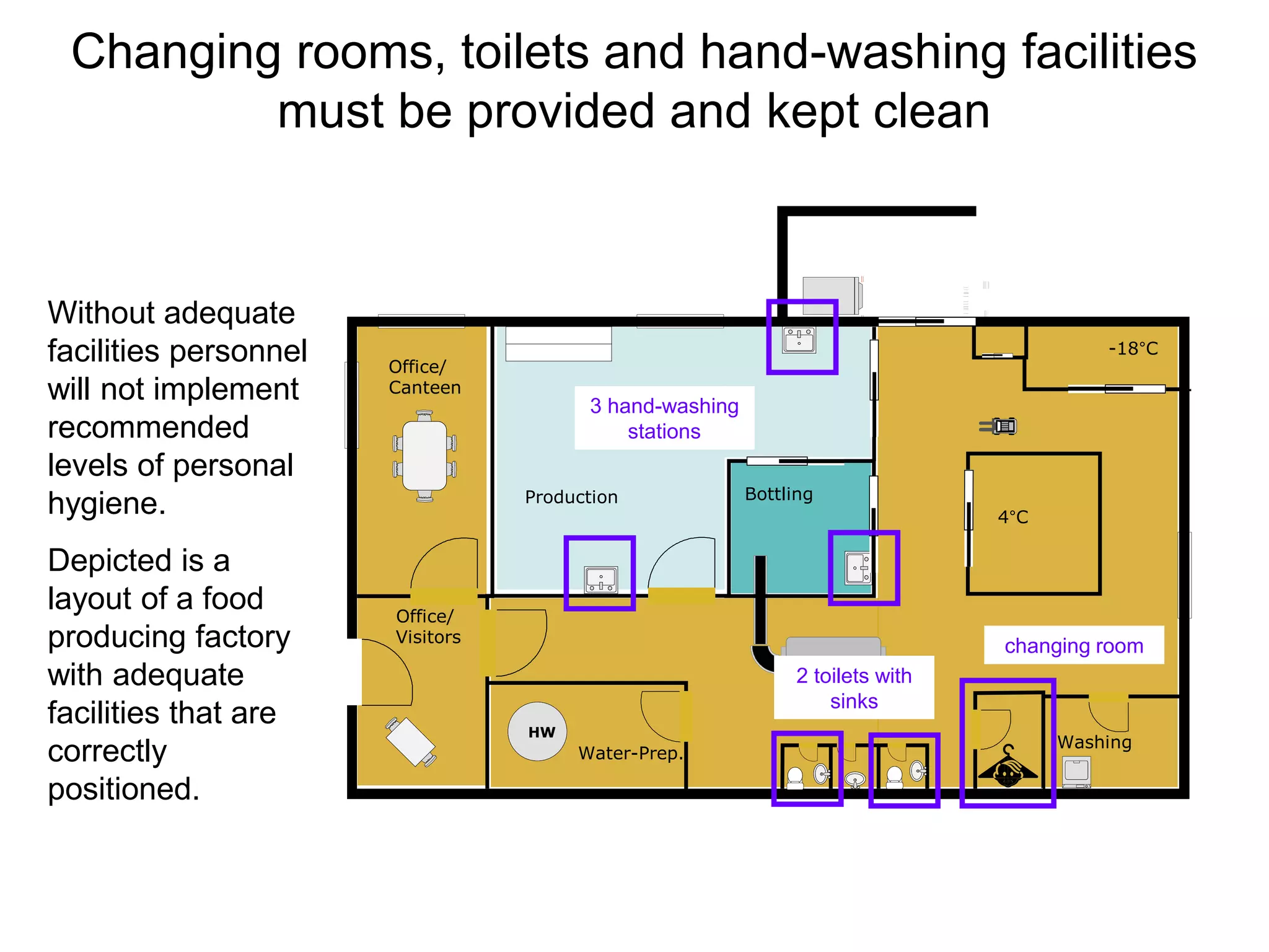 Personal Hygiene in Food Production | PDF
