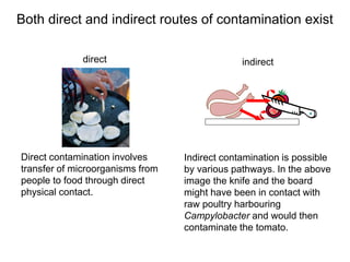 Personal Hygiene in Food Production | PDF