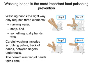 Personal Hygiene in Food Production | PDF