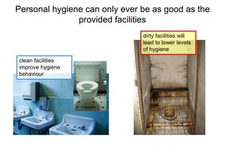 Personal Hygiene in Food Production | PDF
