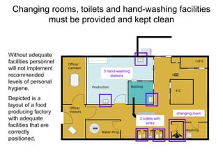 Personal Hygiene in Food Production | PDF