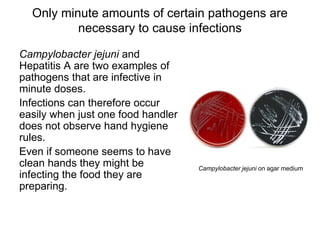 Personal Hygiene in Food Production | PDF