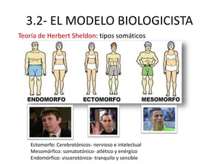 Teorías sobre la personalidad. | PPTX
