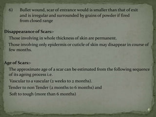 Personal identification | PPTX