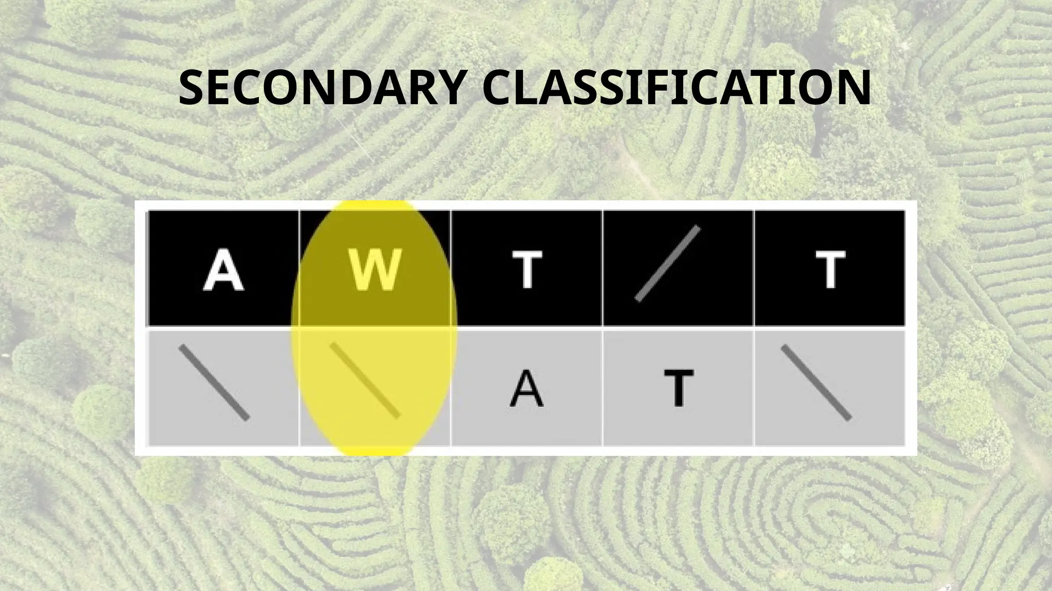 Personal Identification (Fingerprint Classification).pptx