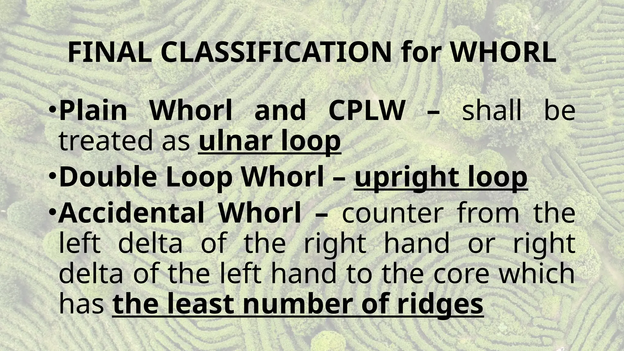 Personal Identification (Fingerprint Classification).pptx