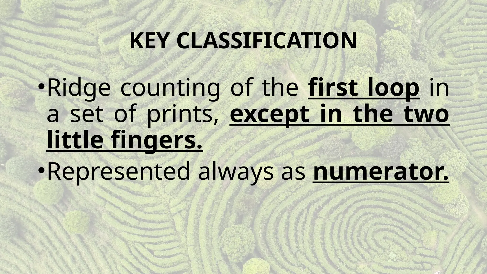 Personal Identification (Fingerprint Classification).pptx