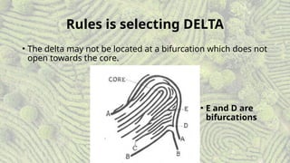 Personal Identification (Fingerprint Classification).pptx