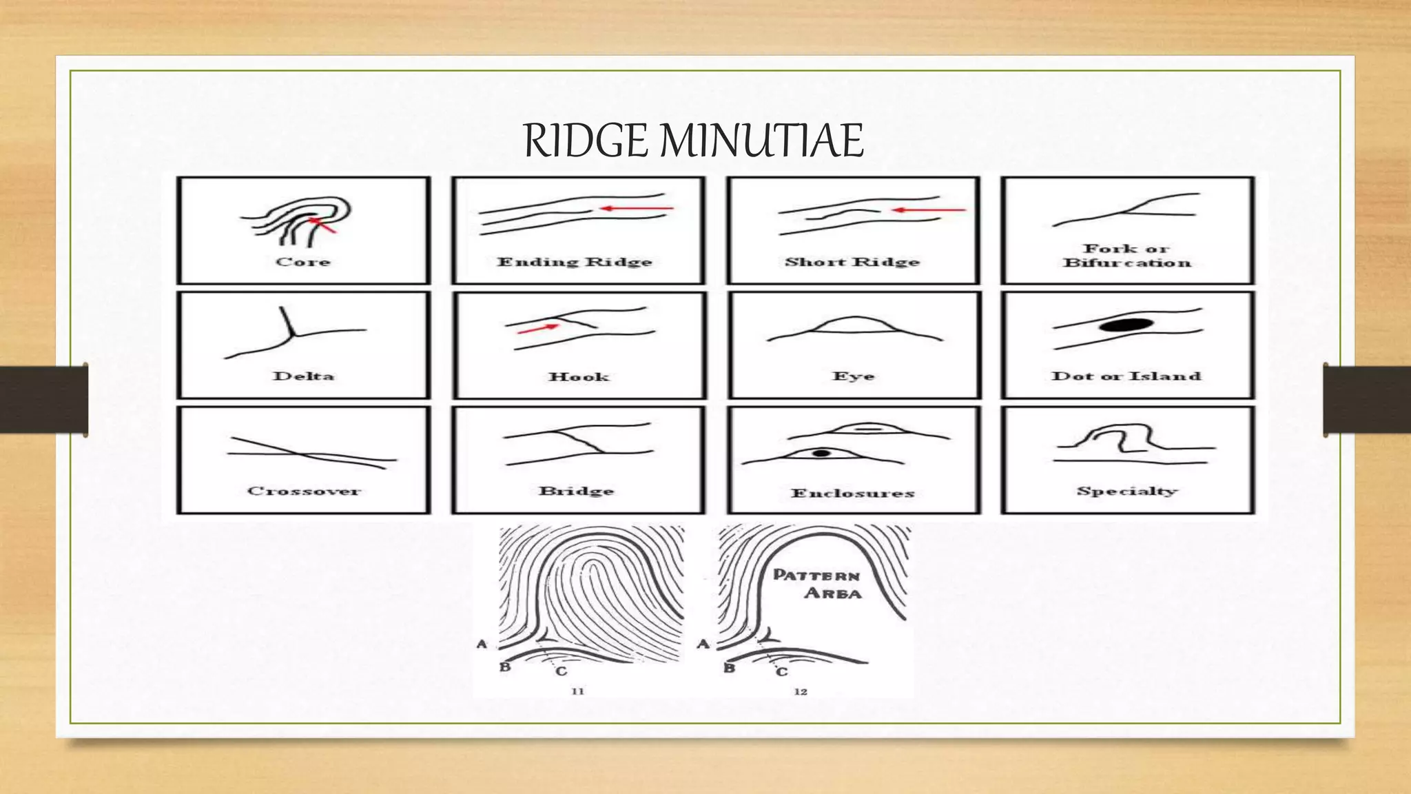 PERSONAL IDENTIFICATION TECHNIQUES.pptx