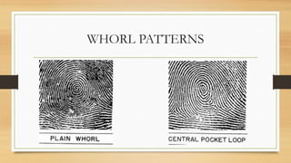 PERSONAL IDENTIFICATION TECHNIQUES.pptx