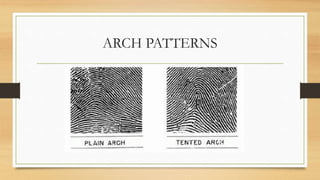 PERSONAL IDENTIFICATION TECHNIQUES.pptx