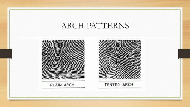 PERSONAL IDENTIFICATION TECHNIQUES.pptx | Skin and Dermatology ...
