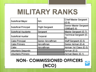 PERSONAL INFORMATION CARD + RANKS + SPECIALTIES.pptx