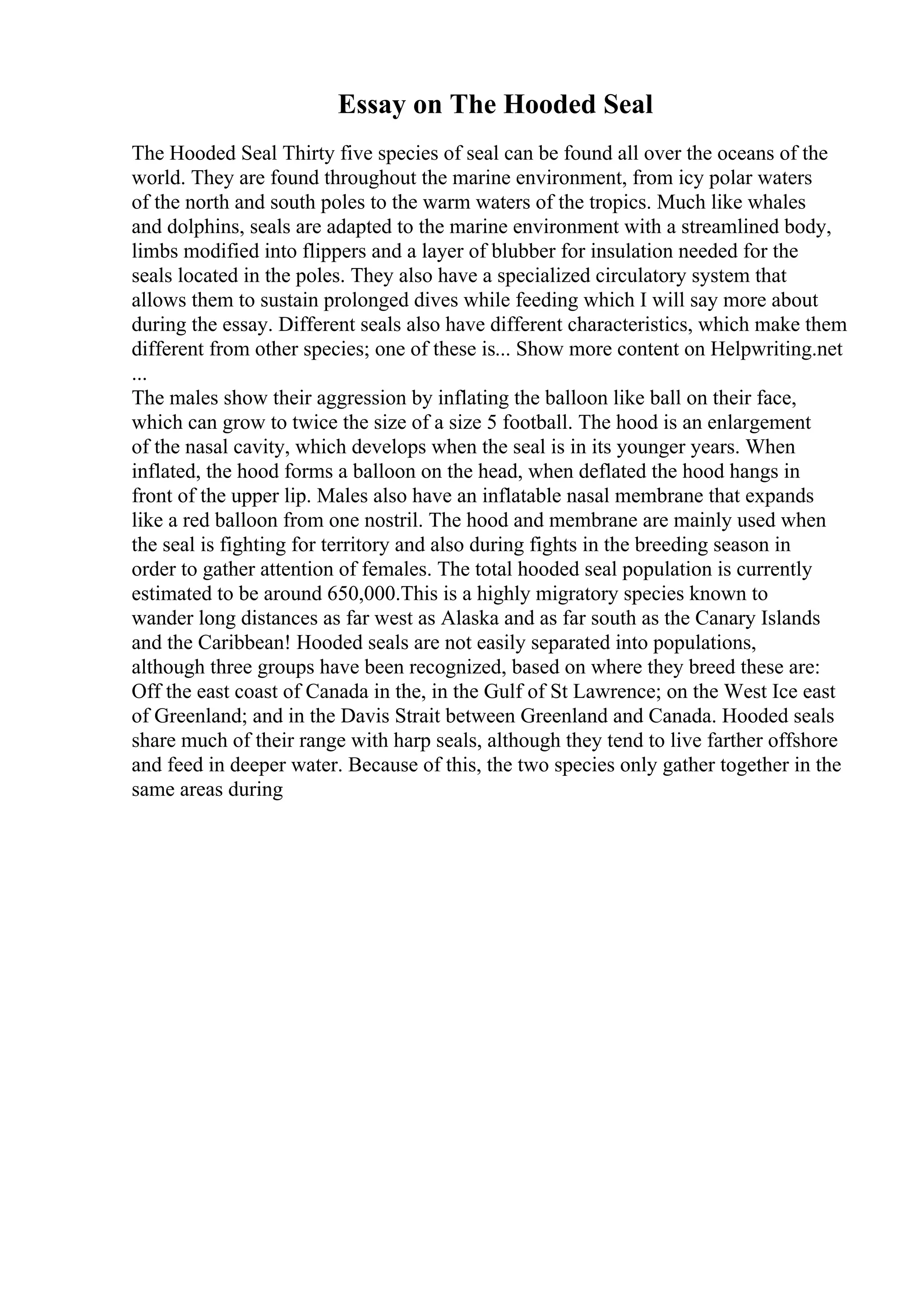 Personal Integrity Essay | PDF