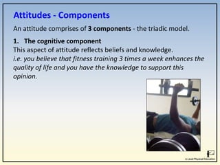 Personality-Attitudes-and-Motivation.ppt