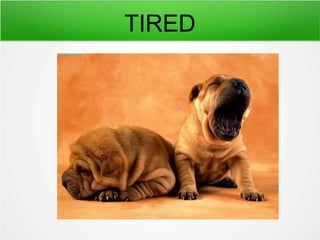 personality-flashcards-icebreakers-warmers-coolers_84464.ppt