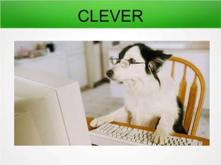 personality-flashcards-icebreakers-warmers-coolers_84464.ppt