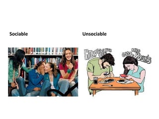 Personality adjectives | PPTX